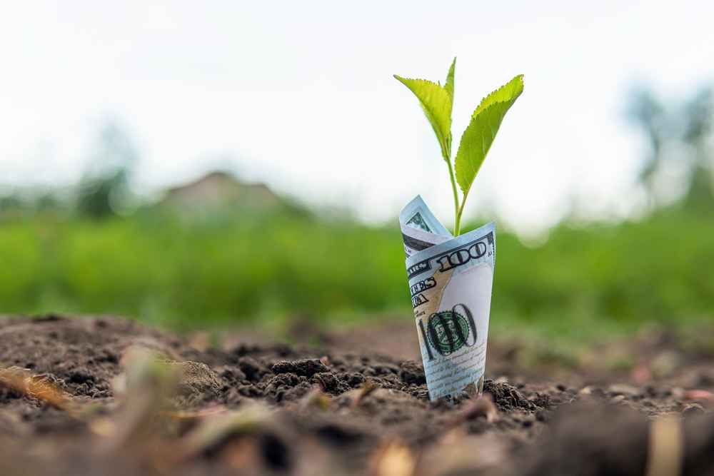 Schedule F Tax Form: Complete Guide for Farmers in 2025 - OLT Articles
